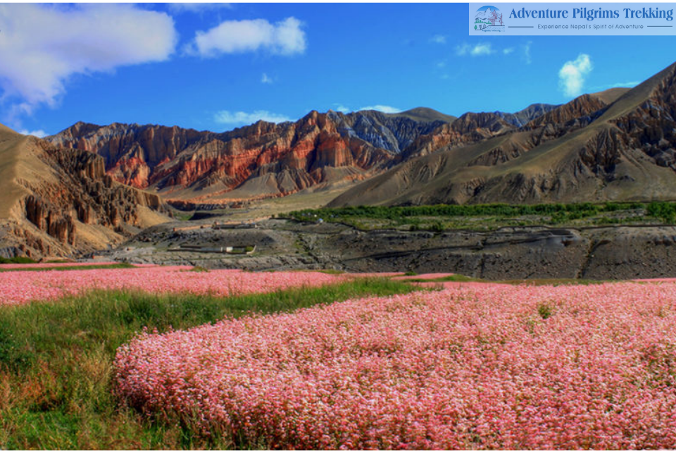 Nepal placed number 8 in Lonely Planet's Best in Travel Destination ...